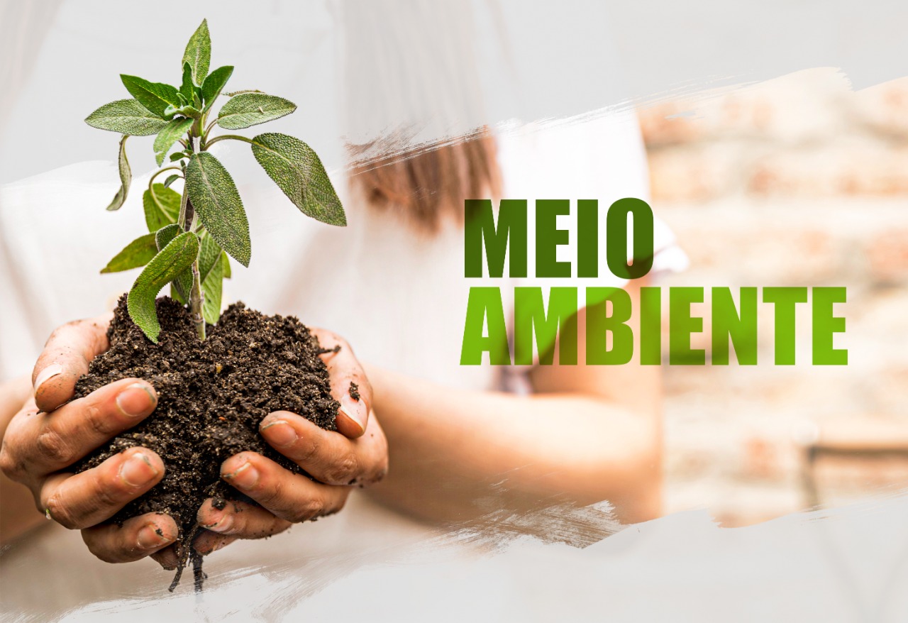 CAROLINA - MPMA aciona Município e gestores para garantir solução de ...